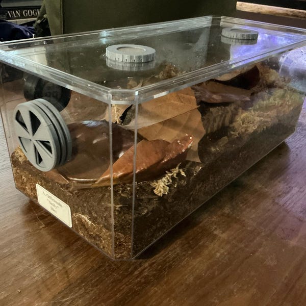 Feed/mist Port Vents for Isopods, Millepedes, Spiders and Many Other ...