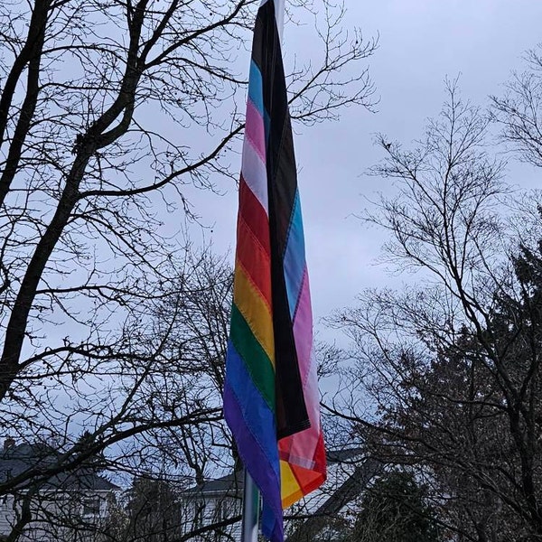 11-stripe Fully Inclusive Rainbow Flag, Hand Sewn 11 Stripe Rainbow ...