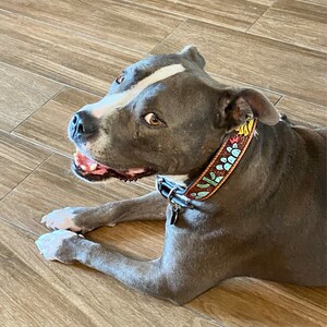 Genuine Leather Dog Collar Girl Dog Collar Dog Collarbeaded - Etsy