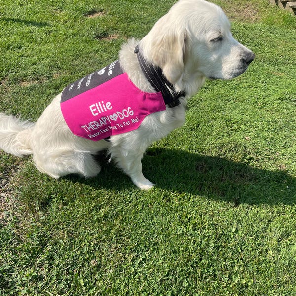 Personalized Therapy Dog Vest: Custom Name, Durable Outdoor Fabric - Etsy