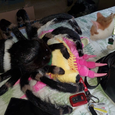 Spider Backpack Decor Tarantula Plush Insect Monster Bag Beetle Handbag ...