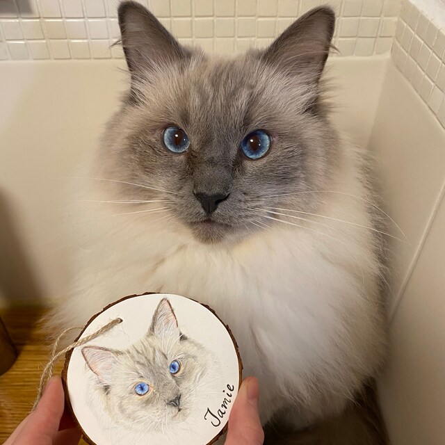 Custom Portraits & Illustrations by JessicaAraus on Etsy