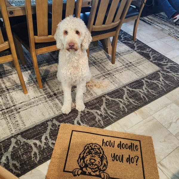 How Doodle You Do Doormat, Goldendoodle, Labradoodle, Dog Gift, Dog ...