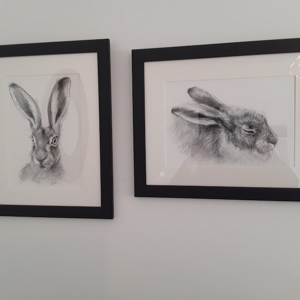 Original Artwork A4 Charcoal Drawing of a Hare by Animal Artist Belinda ...