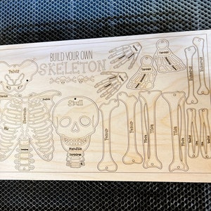 Build Your Own Skeleton Laser Cut Digital File Cute Halloween DIY ...