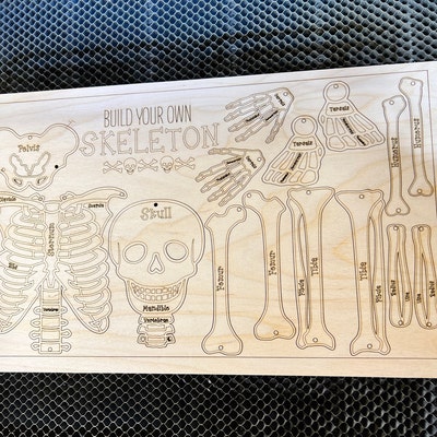 Build Your Own Skeleton Laser Cut Digital File Cute Halloween DIY ...