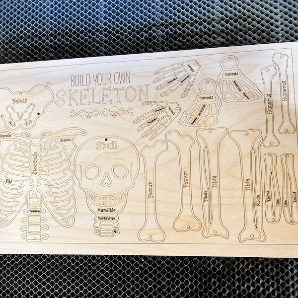 Build Your Own Skeleton Laser Cut Digital File | Cute Halloween DIY ...