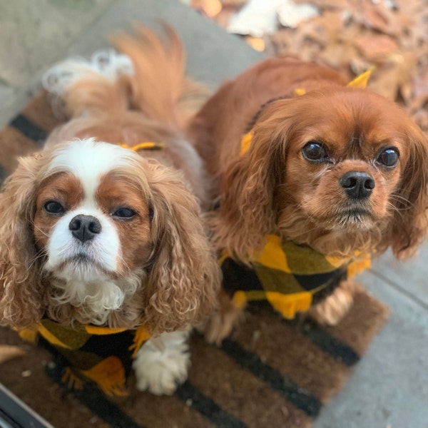 Curriculum Maps for Homeschooling Pre-k-10th Visual Lesson Planning ...