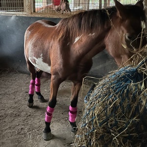 Sheep Leg Wraps, Goat Leg Wraps, Mini Horse Leg Wraps, Serape Cheetah ...