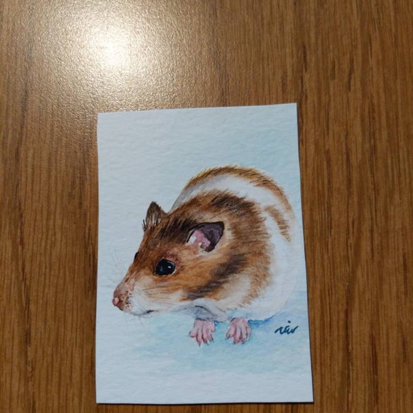 Fieldfare Thrush Watercolor Painting, Original Artwork, 5 X 7 Inch Bird ...