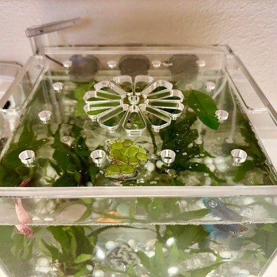 DIY Self Cleaning Conversion Kit for Anchor Hocking 2 Gallon - Etsy