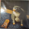 Fat Cat Eats Cheetos and Experiences Existential Dread | Meme Art Re ...
