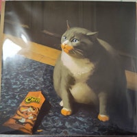 Fat Cat Eats Cheetos and Experiences Existential Dread | Meme Art Re ...
