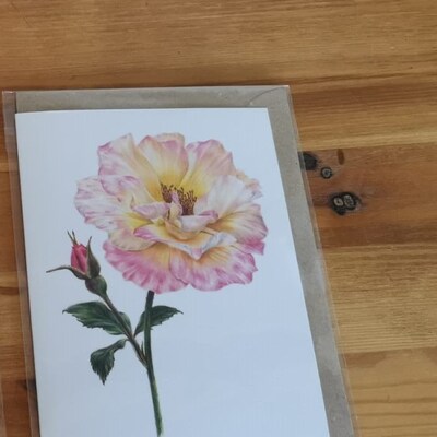 Set of 6 Forget-me-not Gift Tags / Botanical Gift Tags / Blank - Etsy