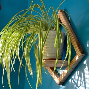 Wall Mount Diamond Planter With Saucer, Geometric Wall Planter ...