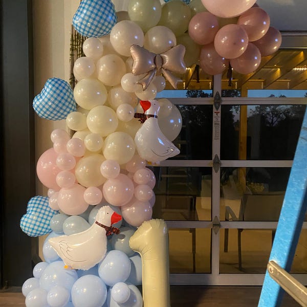 One Silly Goose Balloon Garland Balloon Arch Girls Silly Goose Birthday ...