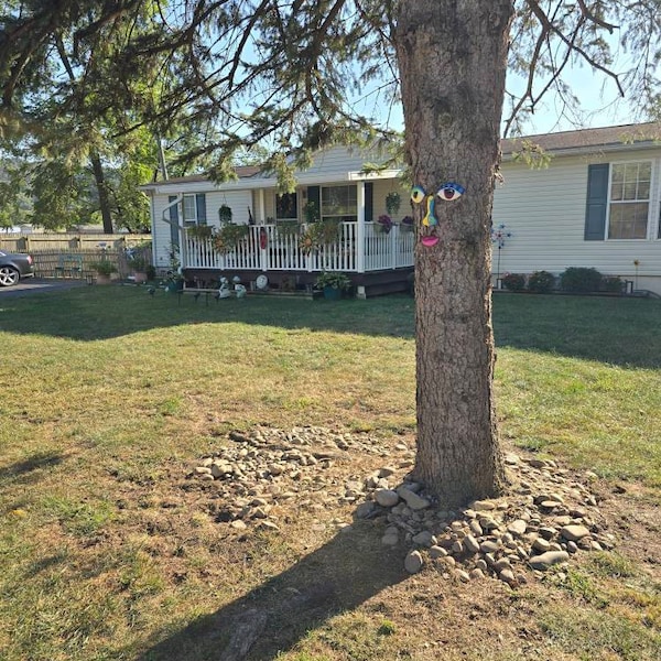 Tree Face Sculpture Eye Catching Style, Handmade by Artist, Decor ...