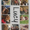 Personalized Pet Cat Photo Blanket, Custom Cat Face and Name Blankets ...