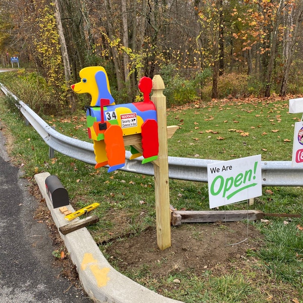 Shark Mailbox, Great White Shark, Mail Box, Shark Mail Box, Water Life ...