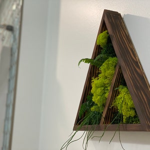 Moss Wall Art Hanging Frame - Etsy Canada