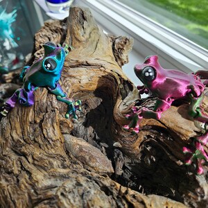 Axolotl Dragons ZOU3D Original Design - Etsy