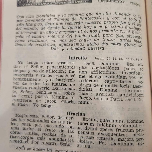 Peter Pan Adapted by Phoebe Wilson ,illustrated by Ruth Wood, Vintage ...