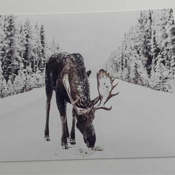 Moose in Snow Print Winter Wall Art Prints Christmas Decor Farmhouse ...