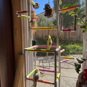 THE MOVER: Portable Parrot Bird Perch W/ Cups for Cockatiels, Conures ...