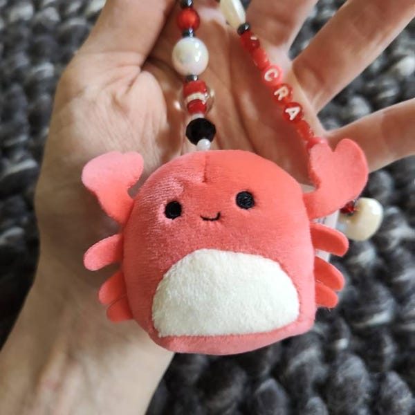 Butterfly Squishville Squishmallow Plush Toy With Matching Custom ...