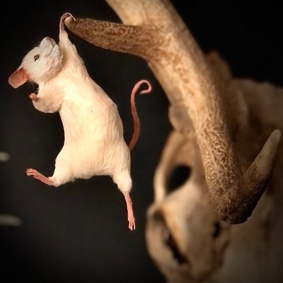 Hanging Mouse - Etsy UK