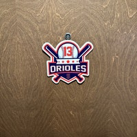 PRINTED Softball Door Sign or Locker Tag | Your Logo | Your Colors ...