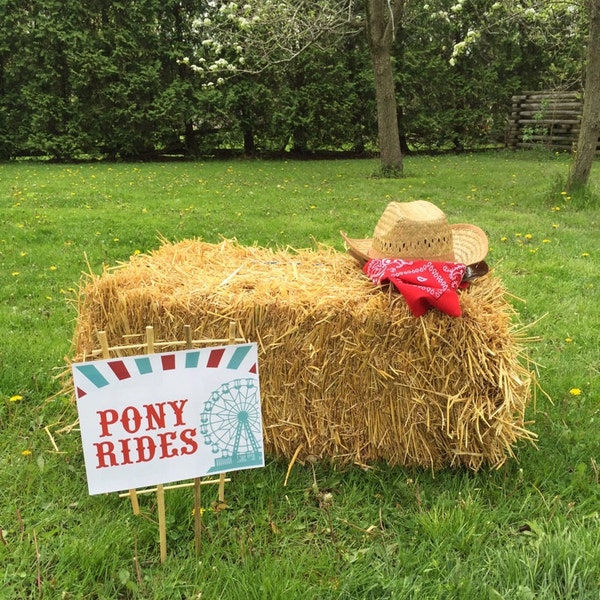 County Fair Party Signs, County Fair Birthday, County Fair Party Decor ...