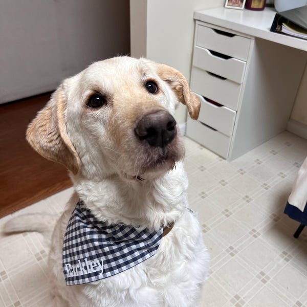 Custom Fanny Packs With Name, 3 Pockets, Personalized Fanny Pack ...