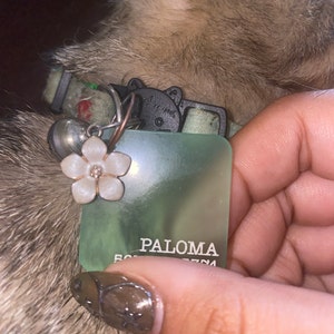 Frosted Dog Tag, Personalized Dog Tag, Dog Id Tag, Cat Name Tag, Pet ...