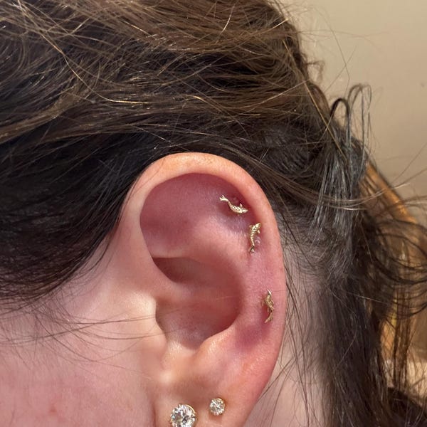 14k Solid Gold Koi Fish Cartilage Earring Tiny Tragus Stud Helix Conch ...