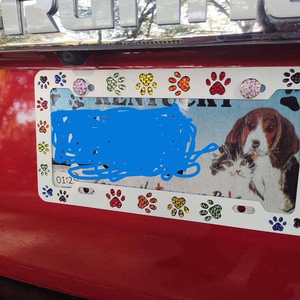 Clear Daisy Flower Crystal Sparkle Auto Bling Rhinestone License Plate ...