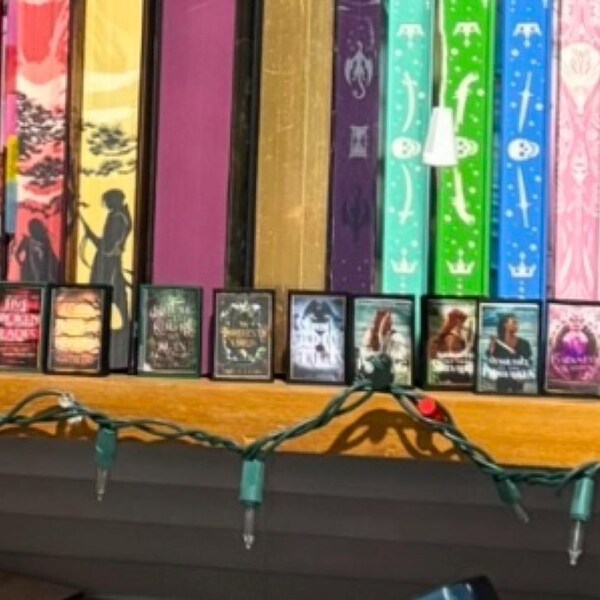 ASSEMBLED Book Nook| Acotar Inspired| Fantasy Books| Silver Flames| Bat ...