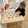 Large Double Sided Flisat Colour Sorting & Counting Insert, Flisat ...