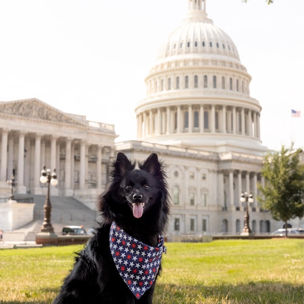 4th of July Dog Bandana Patriotic Dog Bandana Tie & Snap Dog Bandana ...