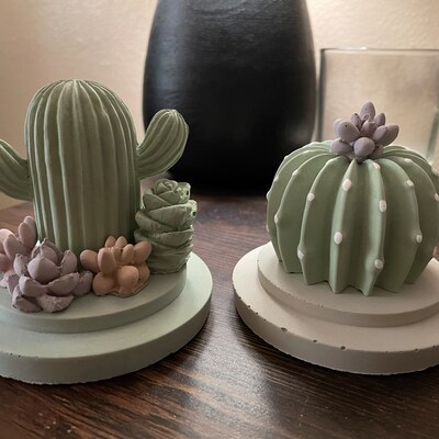 Large Succulent Diffuser Aroma Stones for Essential Oils - Etsy