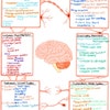 Anatomy Mind Map Combo Pack of 7 Pages - Etsy