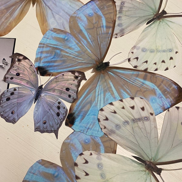 Blue Paper Butterfly Decor With Lavender Accents - Etsy