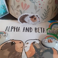 Robin, Friendship, Good Luck, Keepsake, Stone, Gift, Present, Momento ...