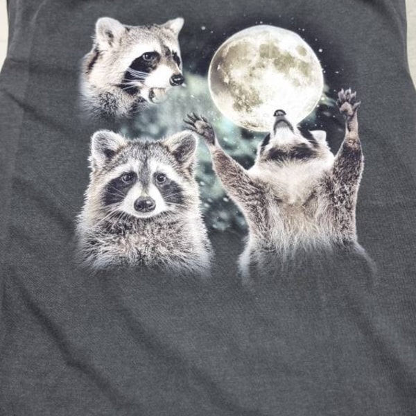 Three Raccoons Retro Graphic T-shirts, Vintage Comfort Colors® Raccoon ...