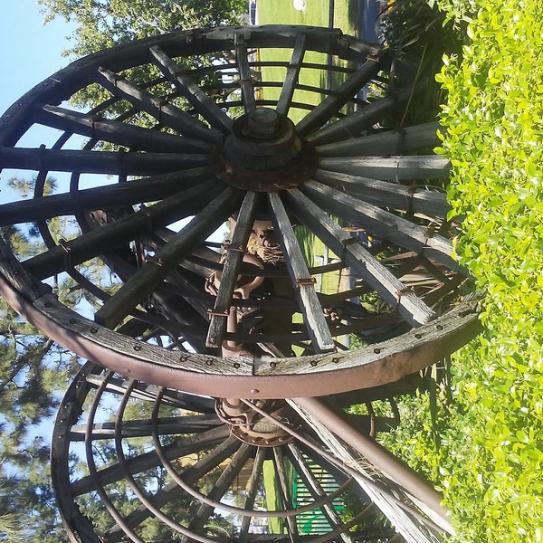 Persephone's Pearls, Poseidon's Pearls, Percy Jackson and the Olympians ...