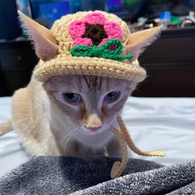 Pink Flower Summer Hat Cat Hats Cat Costumes Cat Accessories Cat ...