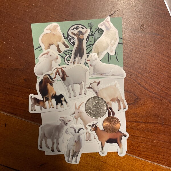 Hyena Sticker Pack Laughing Hyena Vinyl Decals Safari Animal Decal for ...