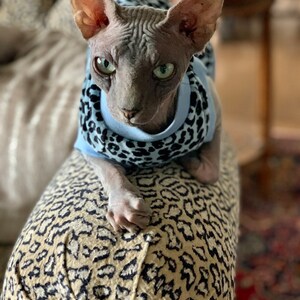 Kotomoda Shower Caps for Sphynx Cats and Small Pets 20pcs in a - Etsy