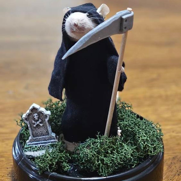 Taxidermy Mouse Pope Francis - Etsy