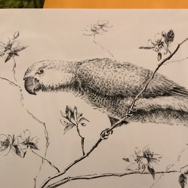 Bird Drawing Print, Bird Artwork, Original Pen Bird, Pen and Ink ...
